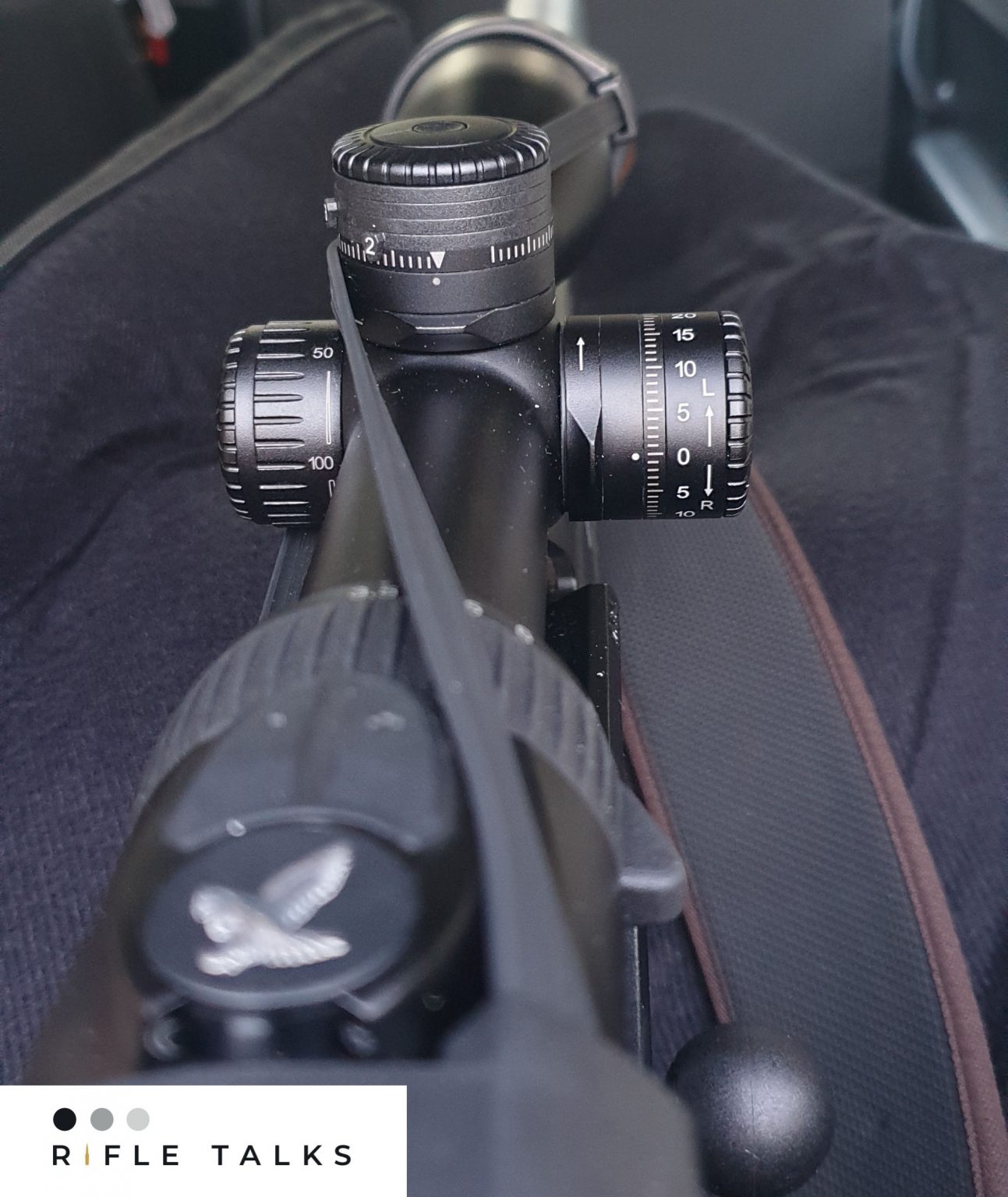 Hunting European Mouflon in the Pyrenees | Learn more here at Rifle Talks