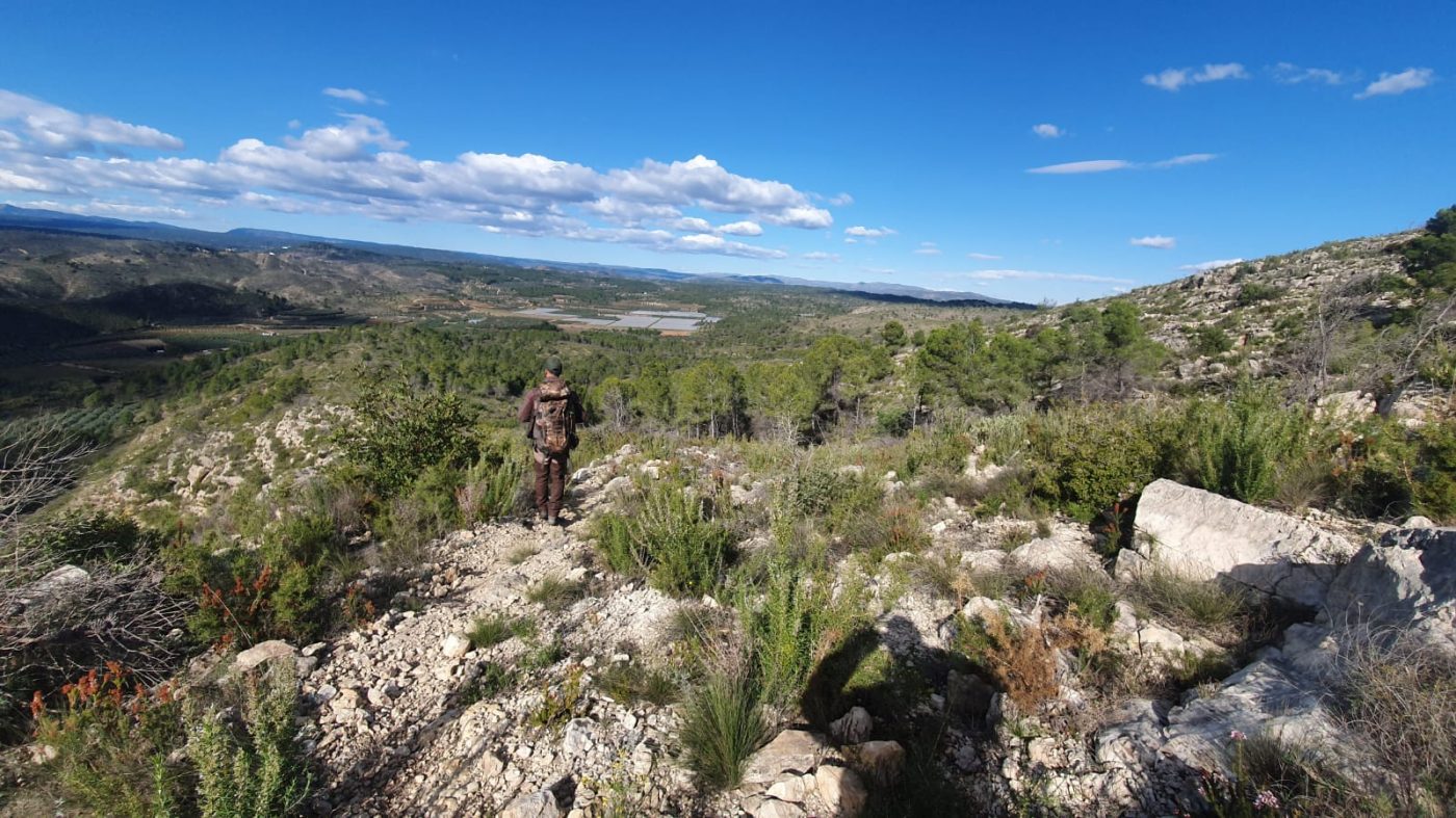 Ibex hunting in Spain | Get first hand experience. More onRifle Talks