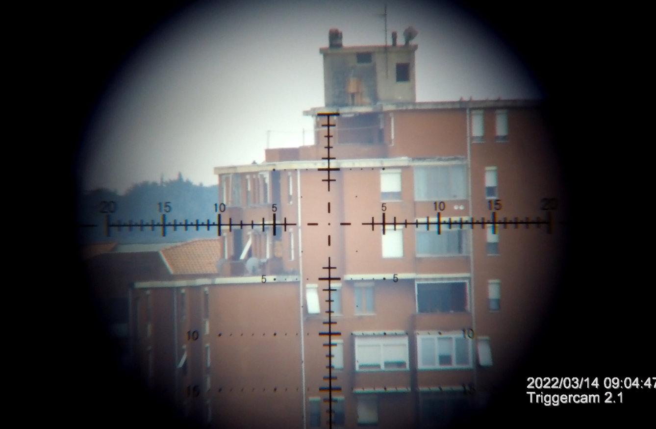 NEW 33XC cartridge | Learn about this NEW cartridge here at Rifle Talks