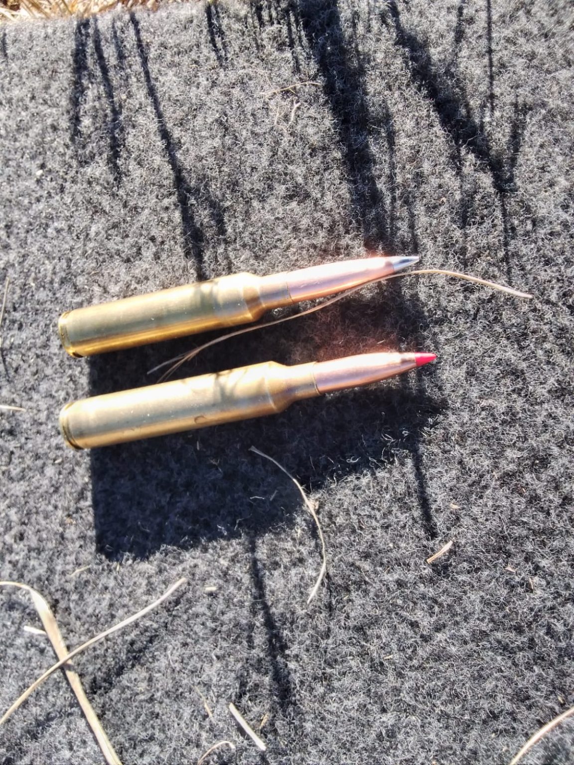 300 norma magnum vs 300 win mag Archives - Rifle Talks