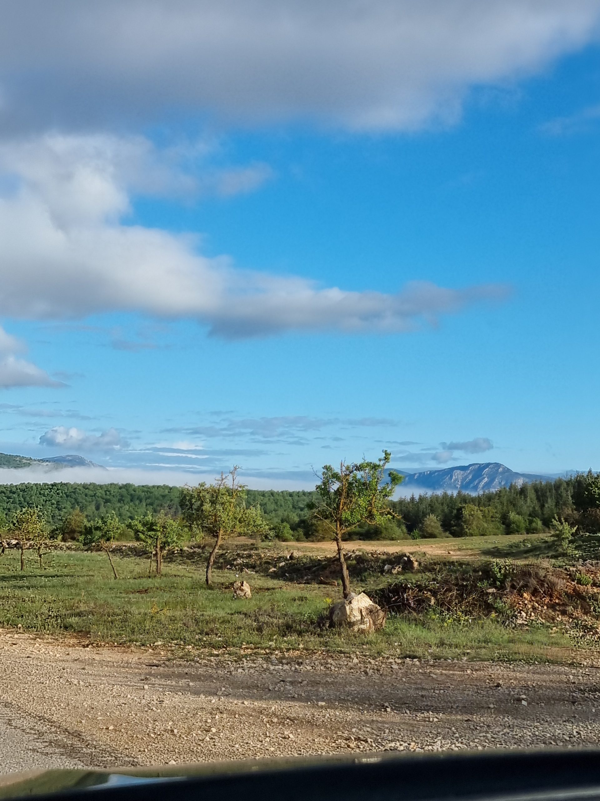 King of 1 Mile and 2 Mile Learnings | Rifle Talks